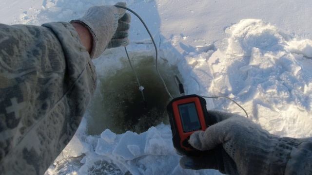 11,Проверка перемёта, ловим верхогляда и щуку.2021