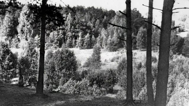 Беседа К.И. Иванова с И.Ф. Шаляпиной-Бакшеевой