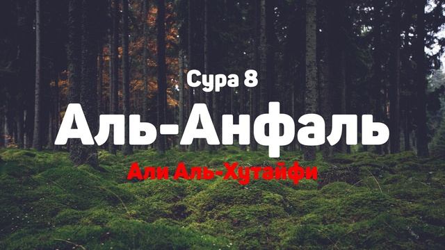 Сура 8 Аль-Анфаль - Али Аль-Хутайфи
