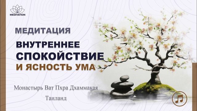 Мед-Туяна-009-Music-02