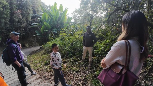 14 Cameron Highlands, Tanah Rata, ГИД в Mossy Forest , Малайзия.