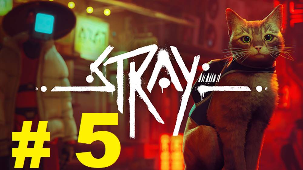STRAY #5