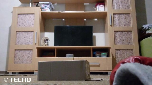 живая коробка 12