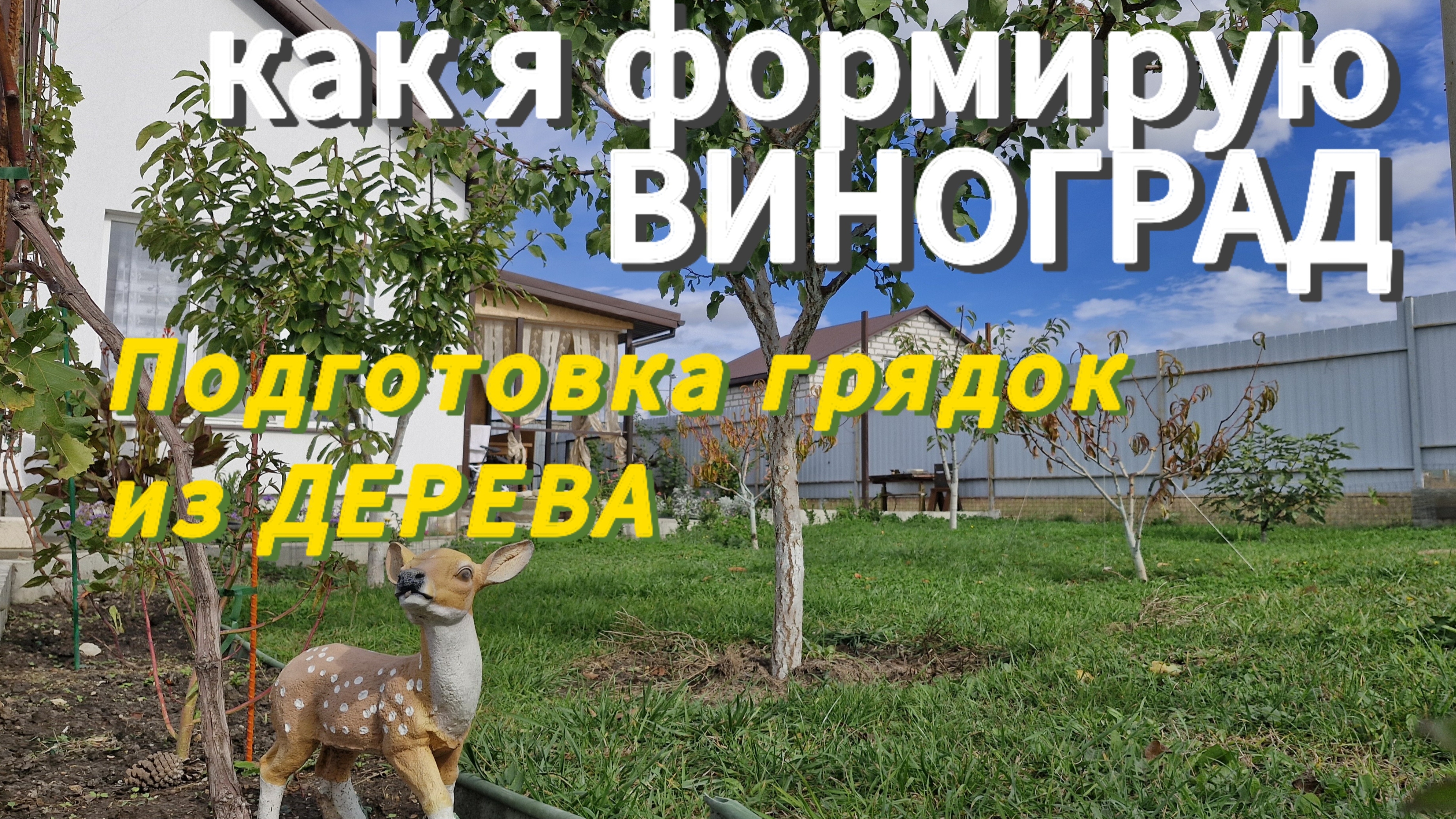 Как я ФОРМИРУЮ молодой ВИНОГРАД. Станица НАТУХАЕВСКАЯ.Краснодарский край
