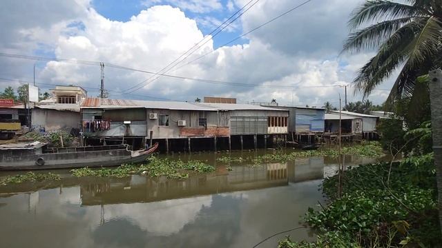 11. Южный Вьетнам Дельта Меконга Лотосы каналы и деревни 01.04.2025