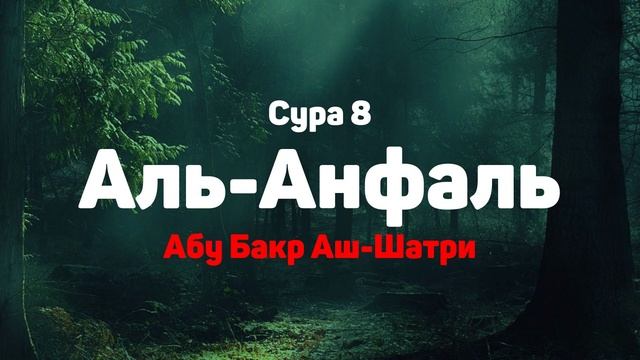 Сура 8 Аль-Анфаль - Абу Бакр Аш-Шатри