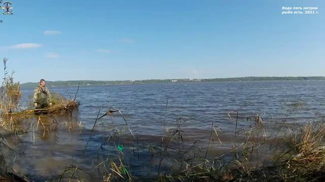 Вода пять метров рыба есть. 2021 г.