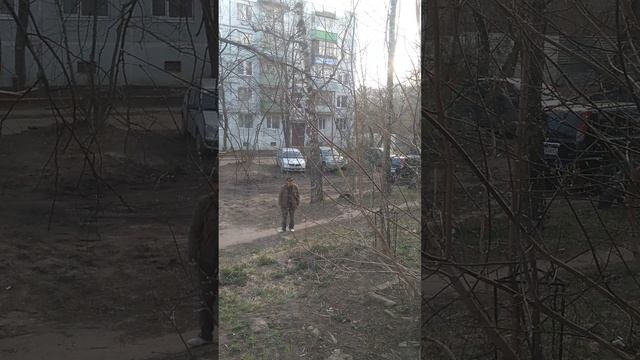 БОЛТОВНЯ  И ПТАШЕЧКИ  МОИ