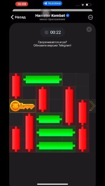 Головоломка 28 октября в хомяке