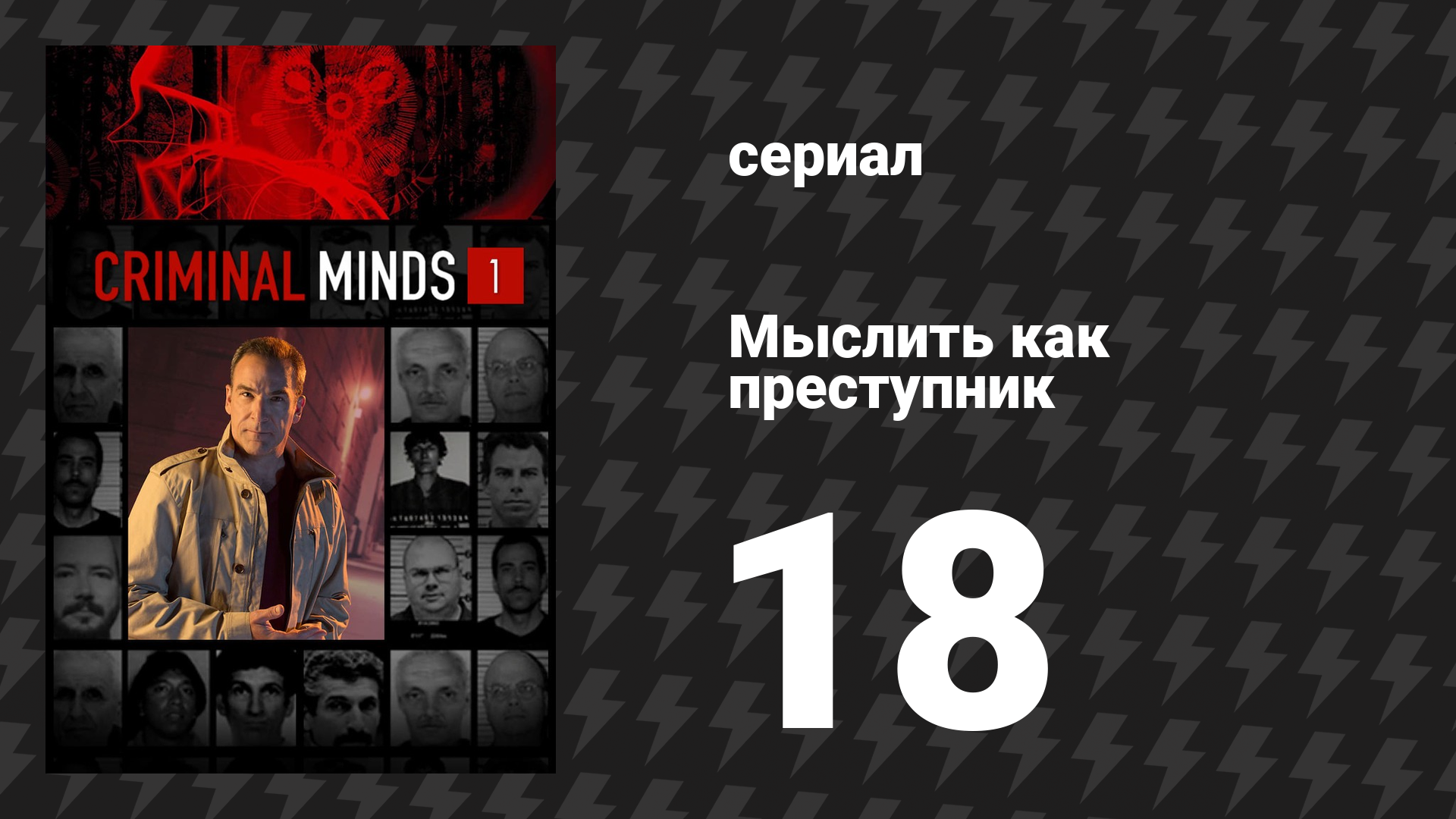 Мыслить как преступник 1 сезон 18 серия «Когда кто-то наблюдает» (сериал, 2005-2020)
