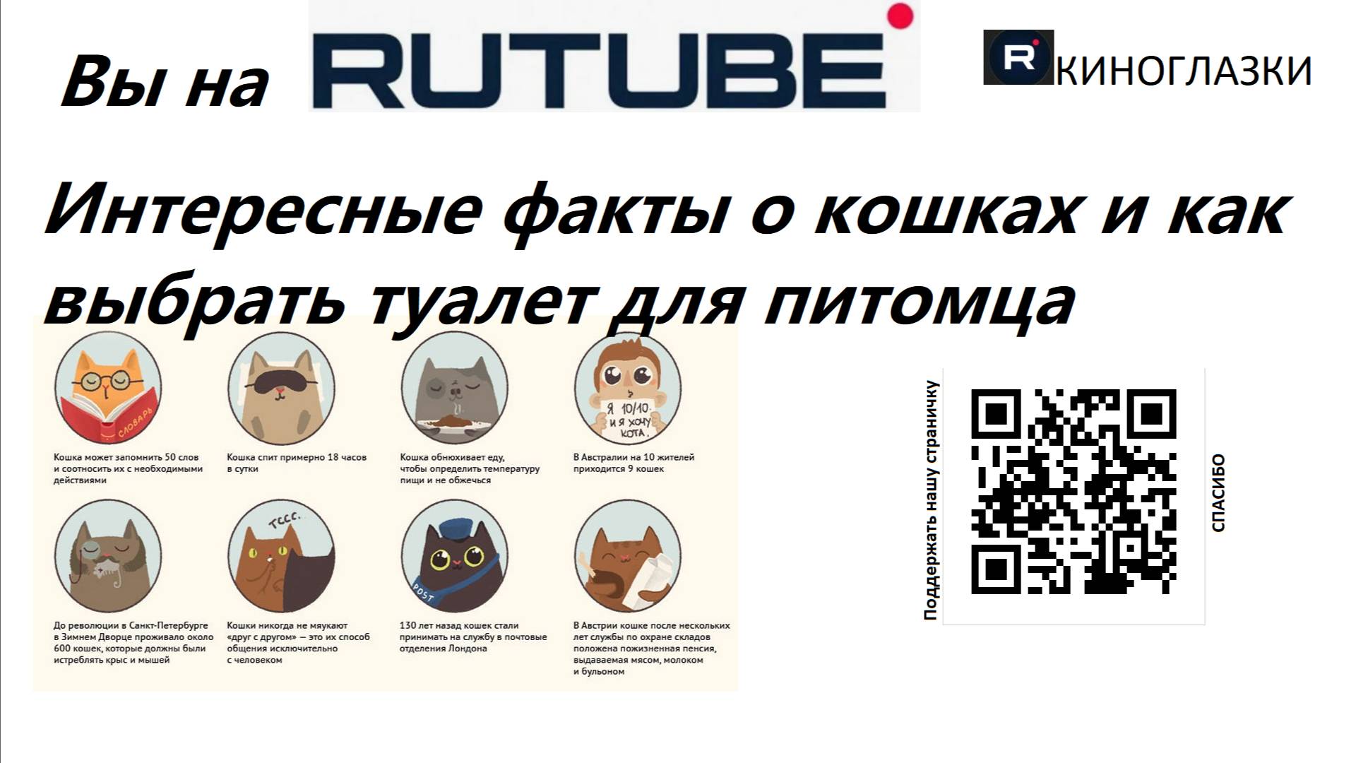 Интересные факты о кошках и как выбрать туалет для питомца