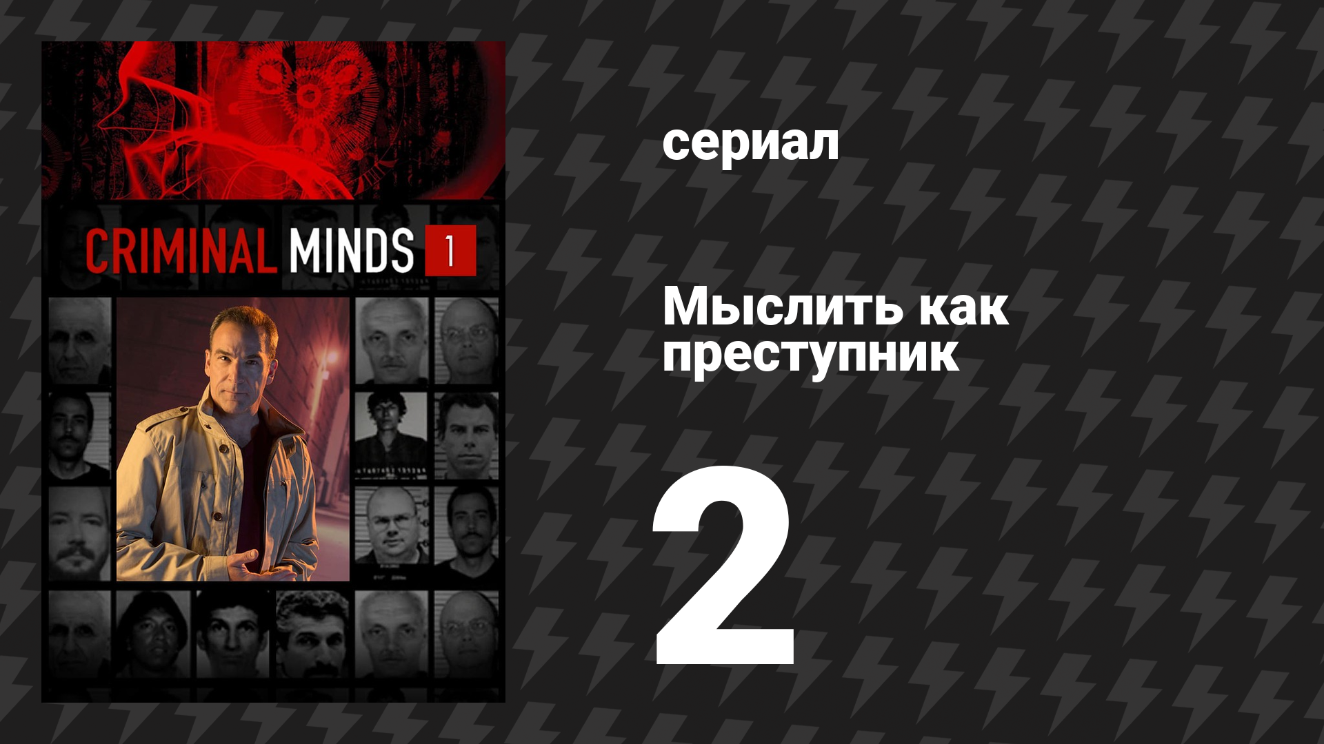 Мыслить как преступник 1 сезон 2 серия «Принуждение» (сериал, 2005-2020)