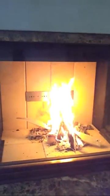 Горение топки Шизель Design D1000 3V