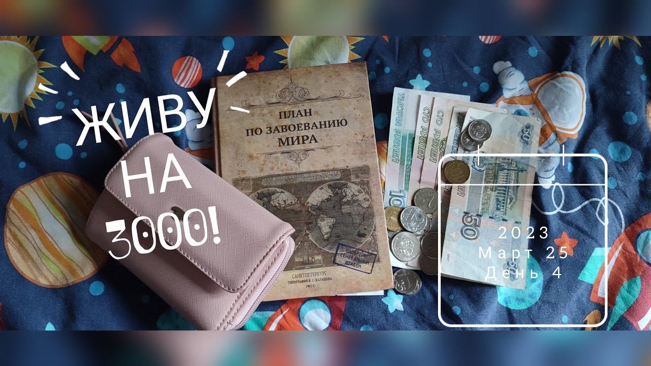 ЖИВУ НА 3000 С ДВУМЯ ДЕТЬМИ день 4