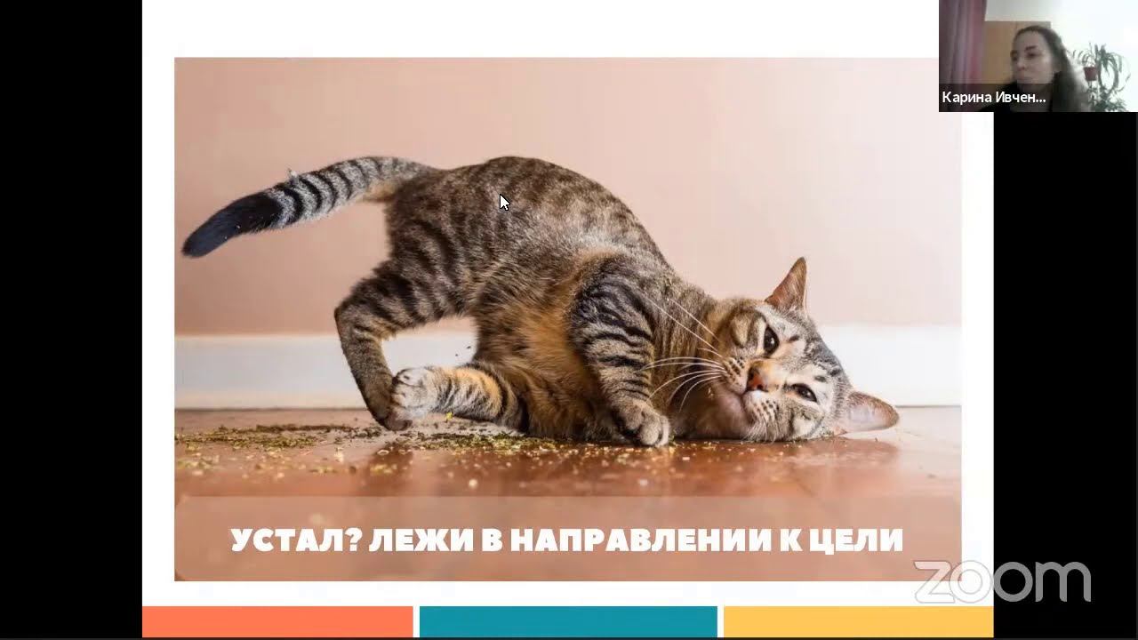 5 принципов экожизни: не сойди с ума