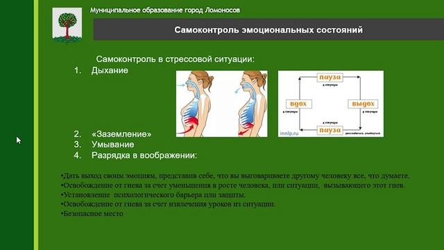 Эмоции. Часть 2