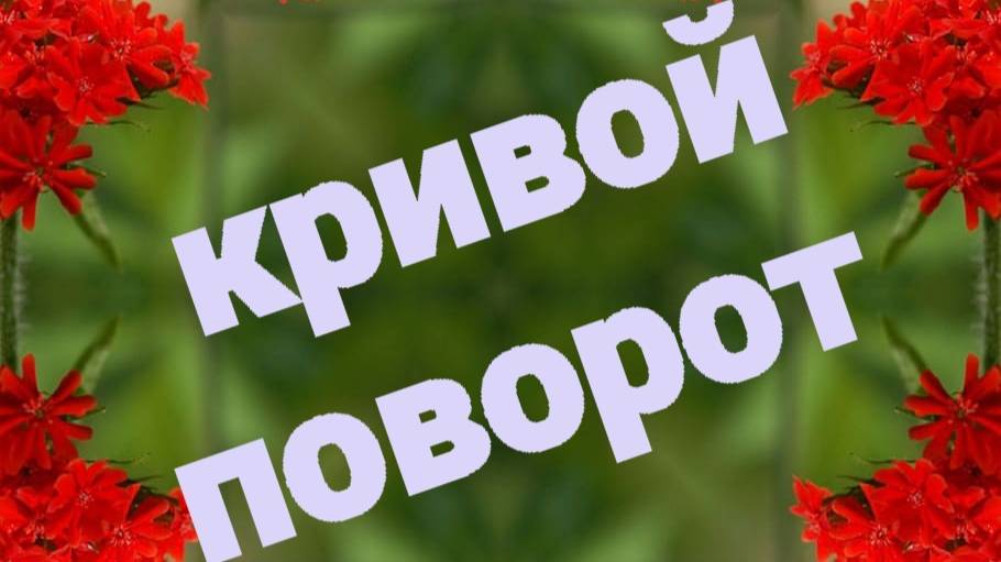 Кира Бородулина, аудиорассказ Кривой поворот