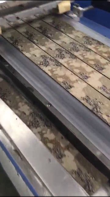 DY-430 Автоматическая линия для трафаретной печати Dopsing