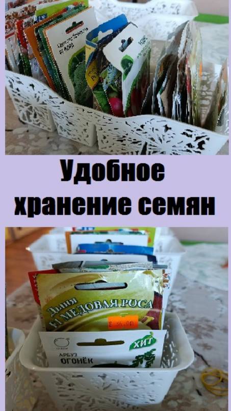 Хранение семян - нашла очень удобный способ, теперь у меня полный порядок!