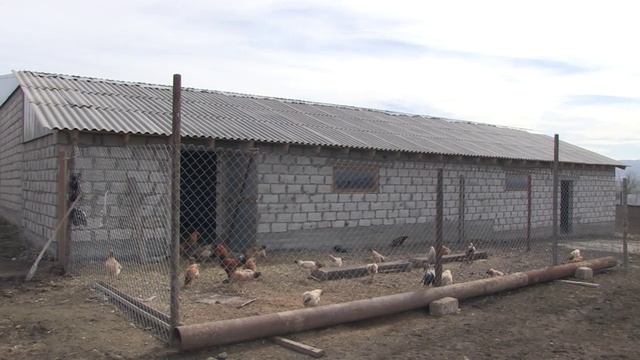 Вай боахам 04,04,25 автор Холохоева Пятимат