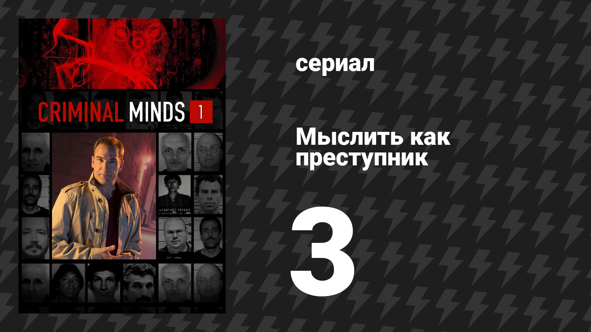 Мыслить как преступник 1 сезон 3 серия «Нас не обманешь» (сериал, 2005-2020)