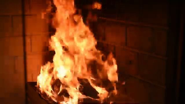 Подробный обзор на дровяные топки Дельта Три стекла от Экокамин