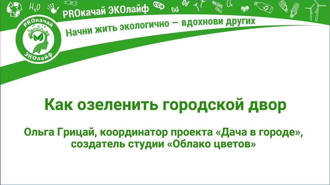Как озеленить городской двор