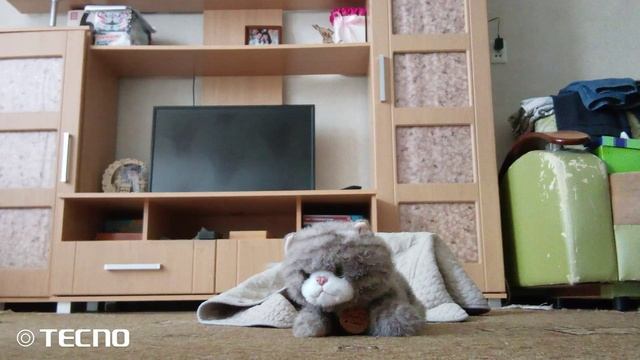 живая коробка 18