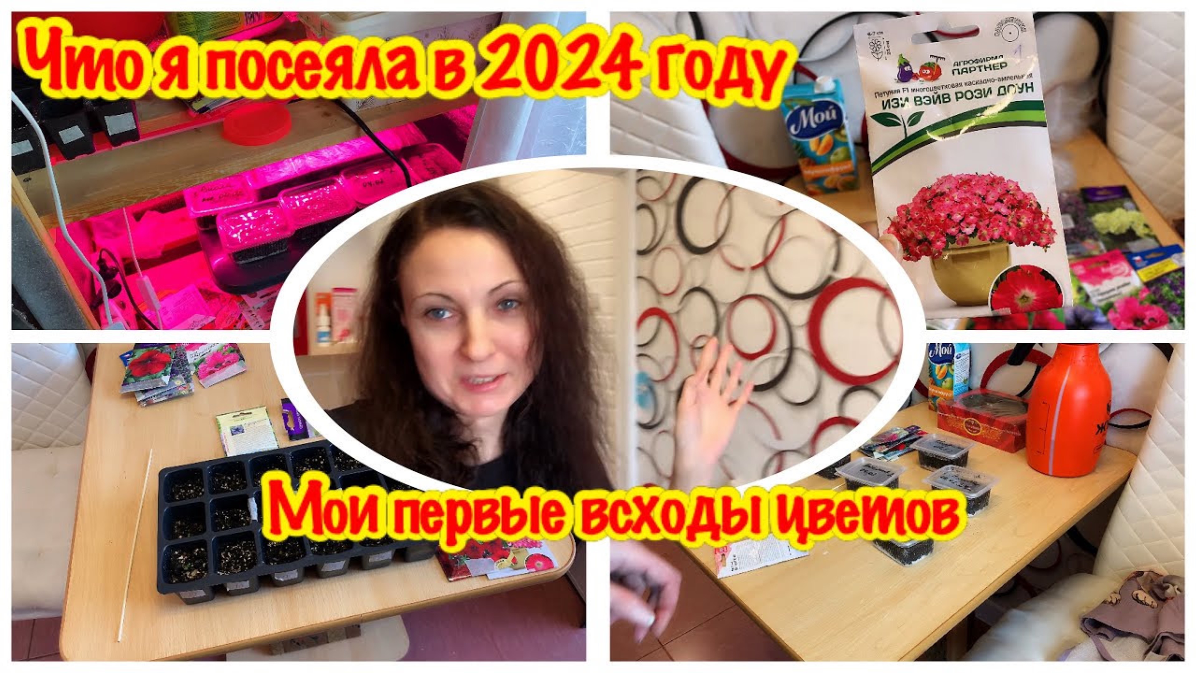 УРА!!! ПЕТУНИЯ ВЗОШЛА/ПЕРВЫЕ ВСХОДЫ ПЕТУНИИ НА 6 ДЕНЬ ПОСЕВА/КАКИЕ ЦВЕТЫ У МЕНЯ ВЗОШЛИ К 7 ФЕВРАЛЯ