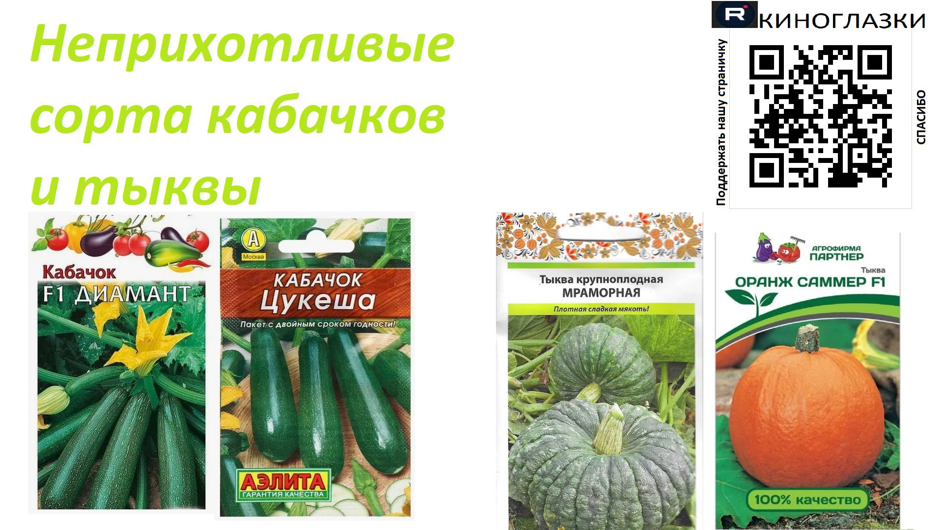 Неприхотливые сорта кабачков и тыквы