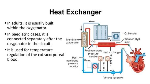 VA-ECMO Gisele Baquero 2023