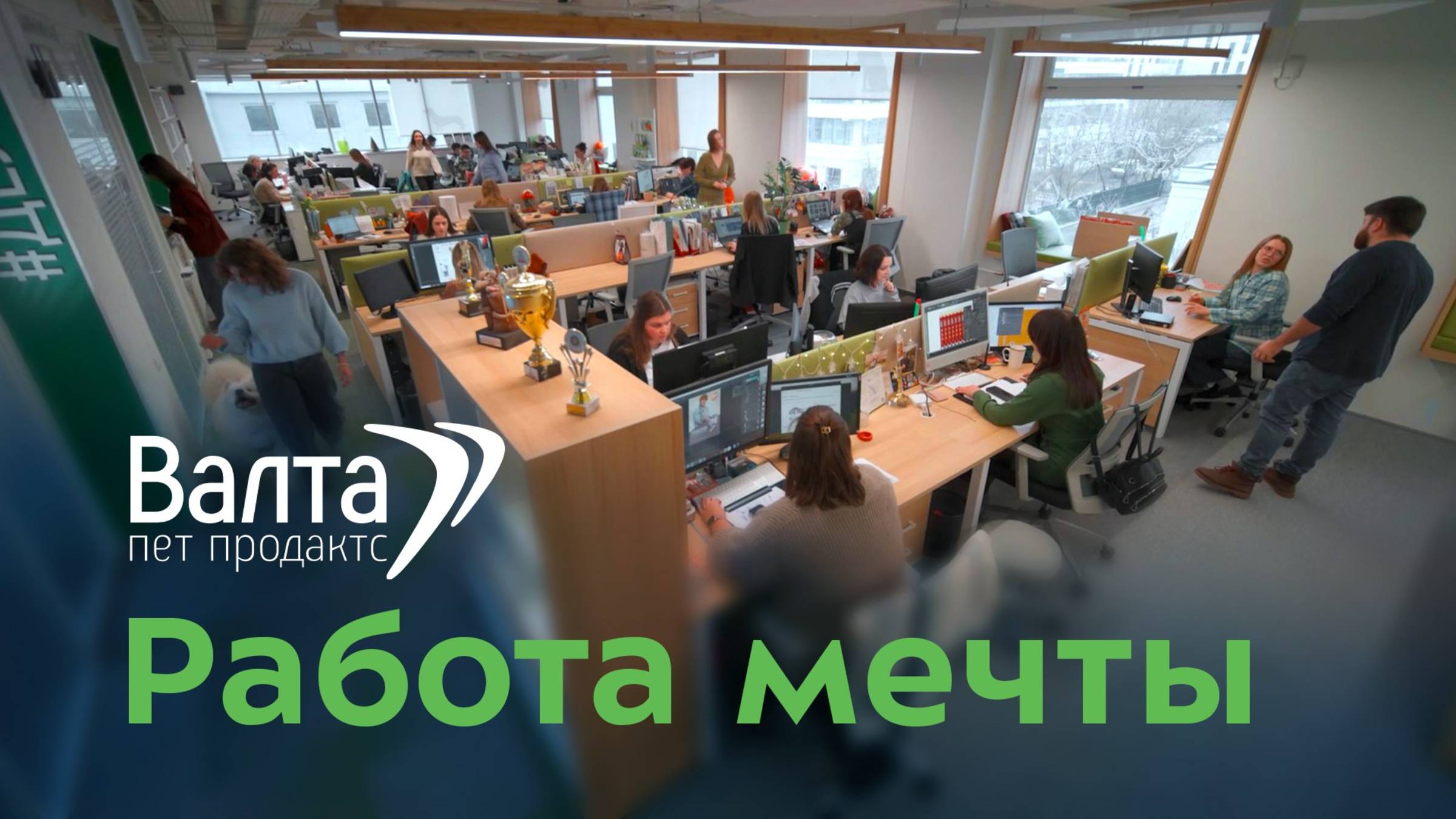 О команде, офисе и нашей атмосфере