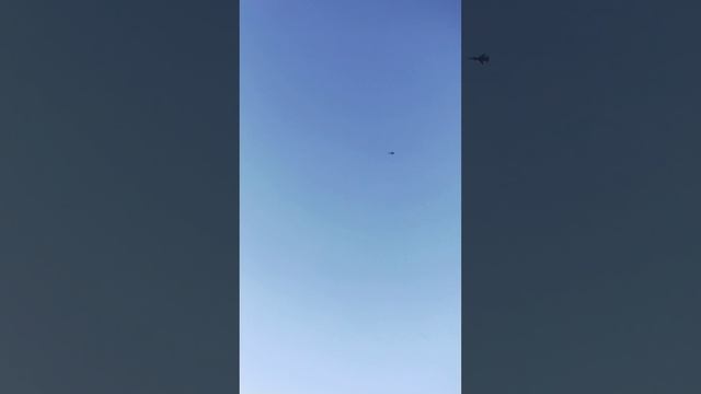 память о февральском солнышке 2025😍