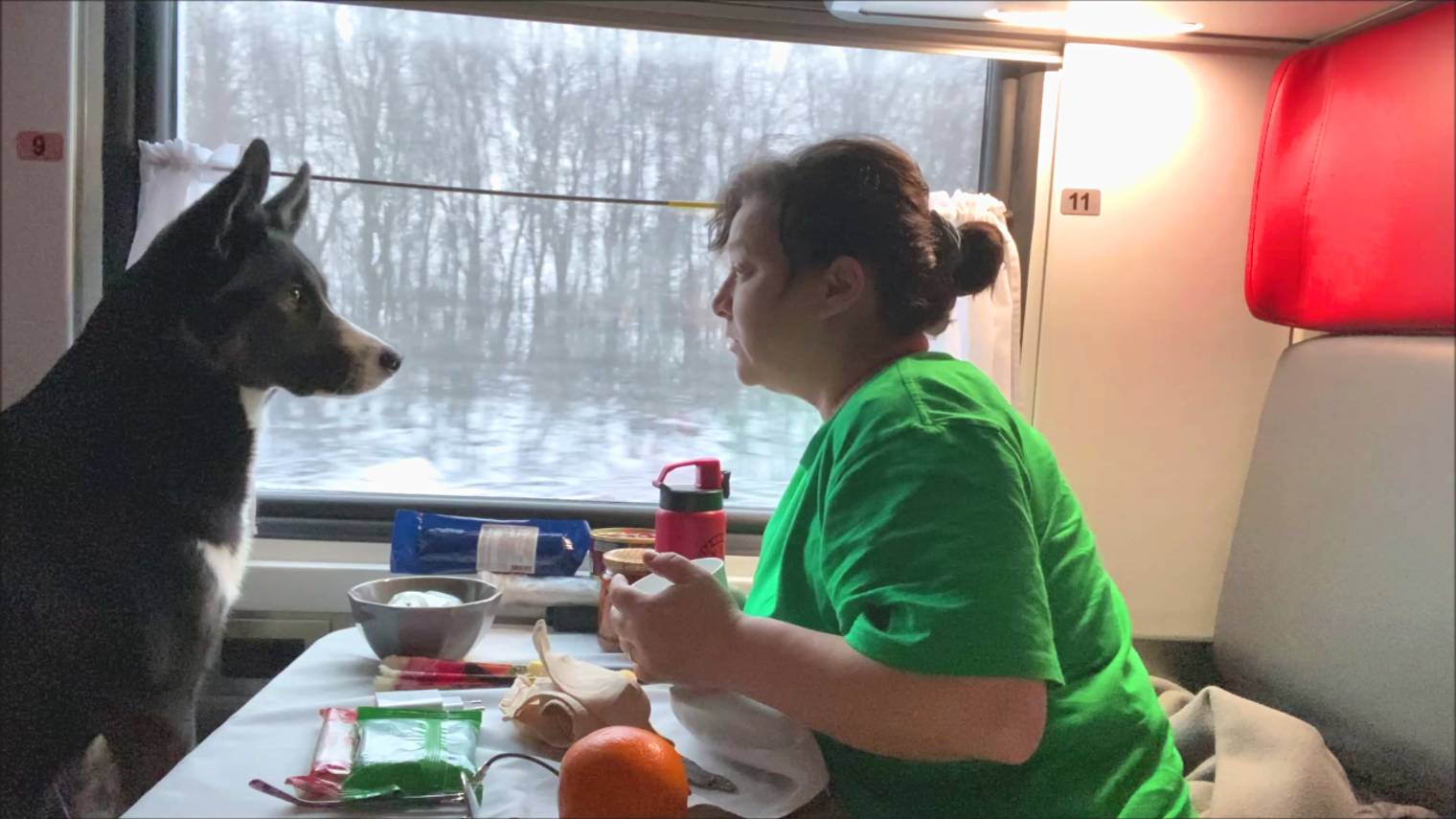 36 часов в купе ВДВОЁМ с собакой 🚂 Едем НА ПОЕЗДЕ в Геленджик!