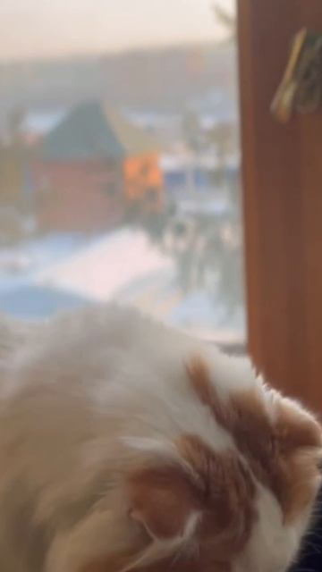 💪Пушистый инженер знает - КВиП это надежное оборудование (всегда)!