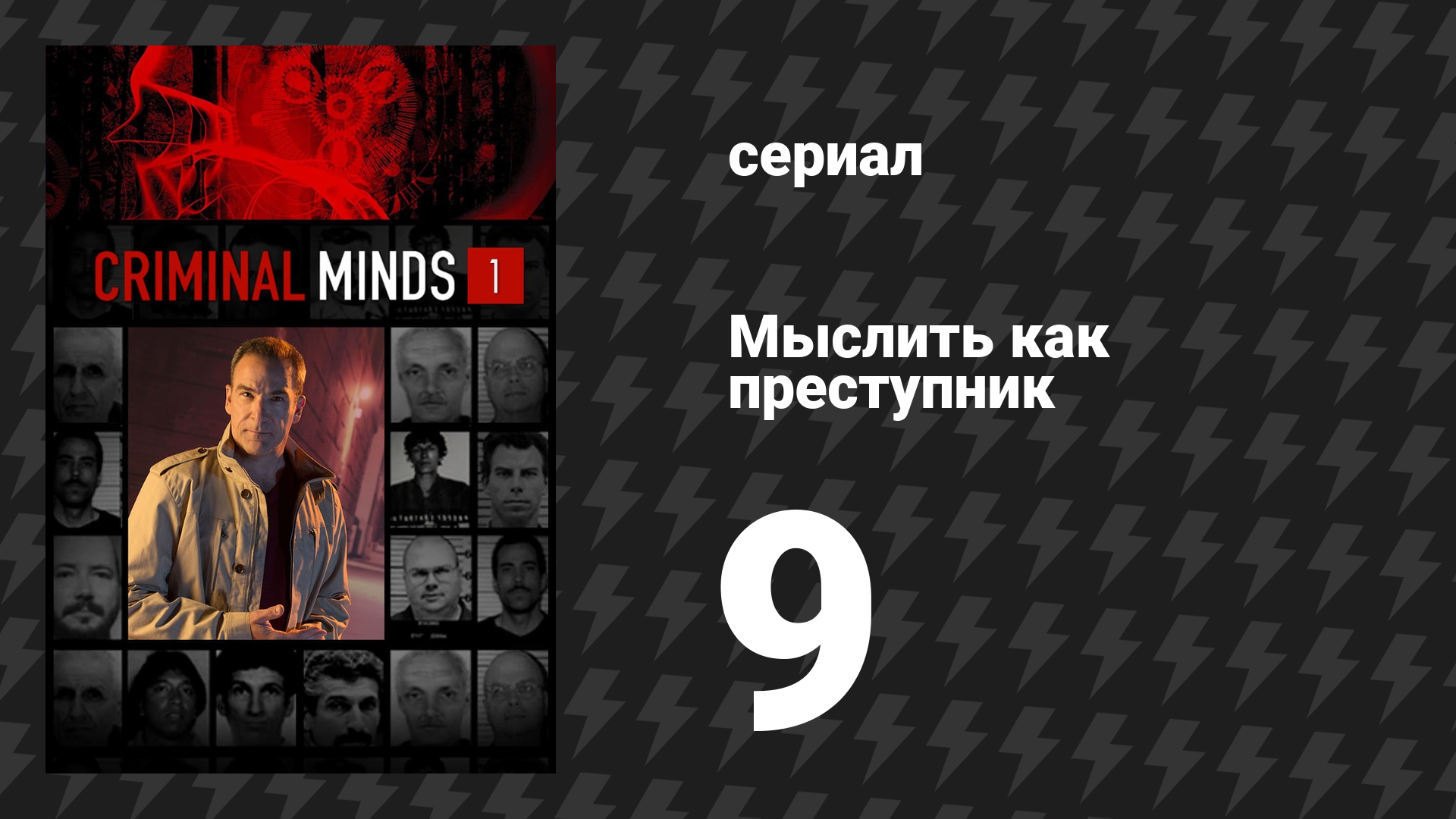 Мыслить как преступник 1 сезон 9 серия «Цена измены» (сериал, 2005-2020)