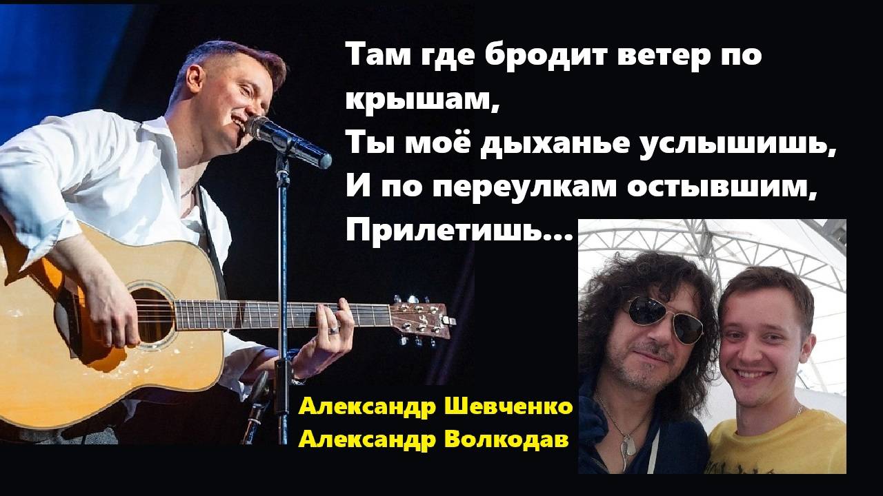 "Я тебя не буду искать" (А.Шевченко) - исп.Александр Волкодав #александрволкодав #александршевченко