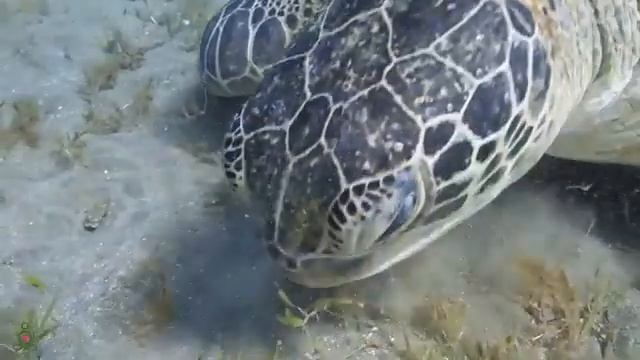 Послушайте 10 минут и крепко засыпайте. Музыка которая помогает уснуть. Музыка для сна