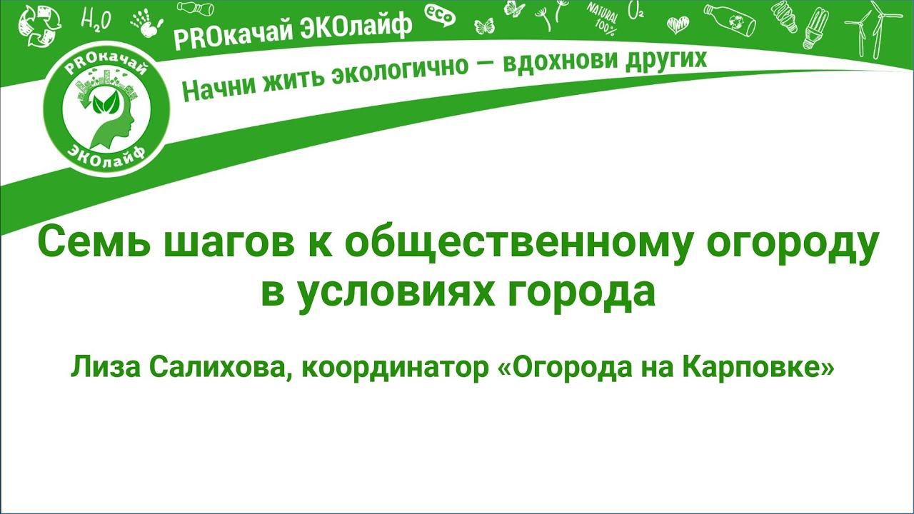 Семь шагов к общественному огороду в условиях города