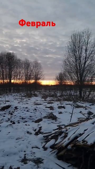 Видео из архива. Февраль...навеяло.  В этом году снега почти не было... #шатунов #розовыйвечер