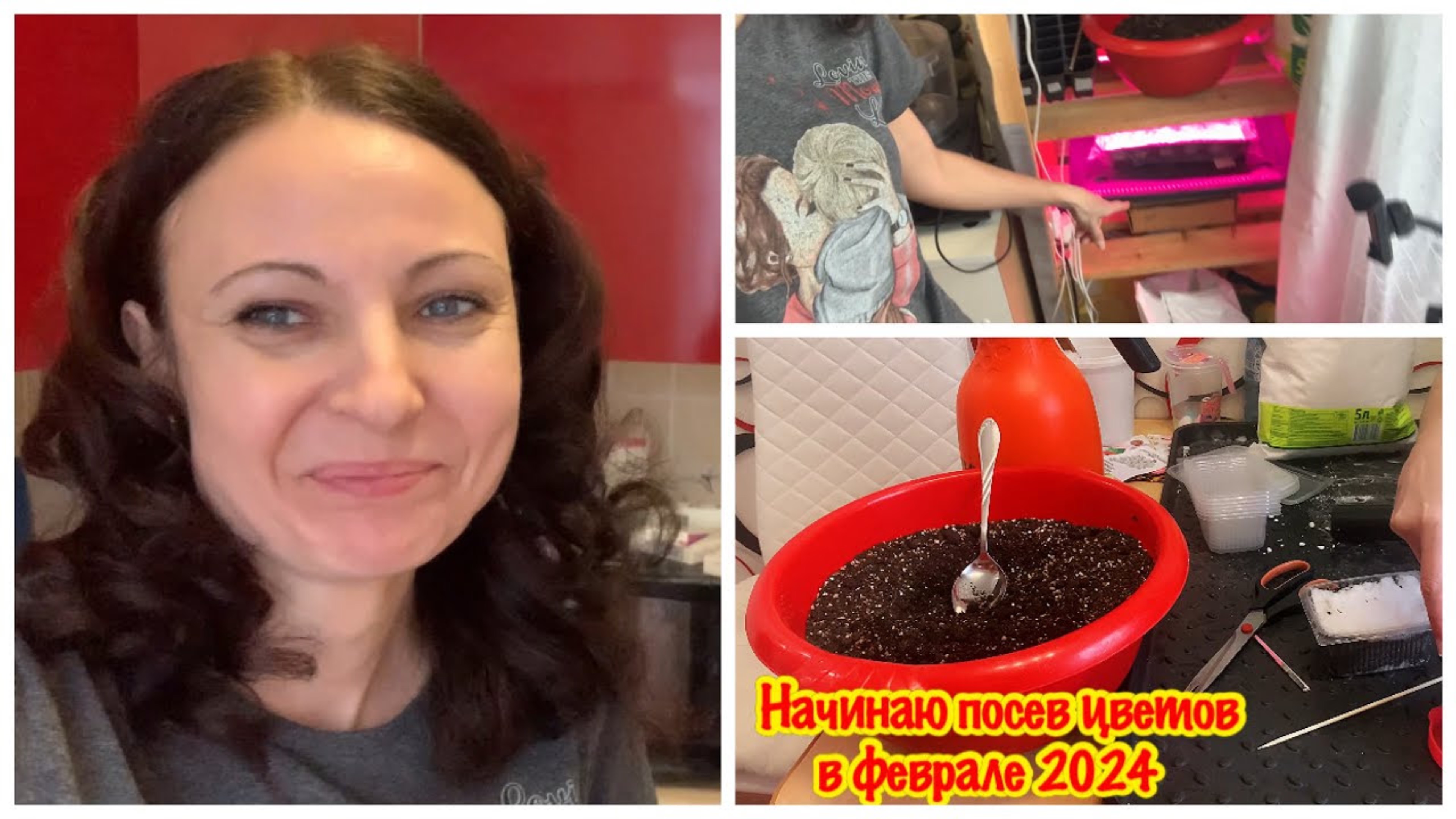 НИКТО В МЕНЯ НЕ ВЕРИТ/НО Я УПЕРТАЯ/КАКИЕ ЦВЕТЫ НУЖНО СЕЯТЬ НА РАССАДУ В ФЕВРАЛЕ/НАЧИНАЮ ПОСЕВ ЦВЕТОВ