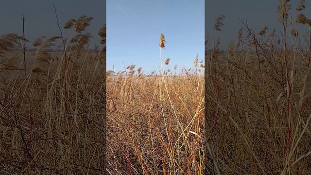 Где находится Бог?