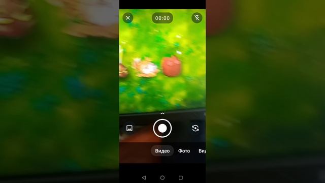 пвз 1-ый турнир 3-тий раунд 1-ый уровень турнира