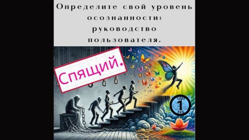 Определите свой уровень осознанности: руководство пользователя 1.