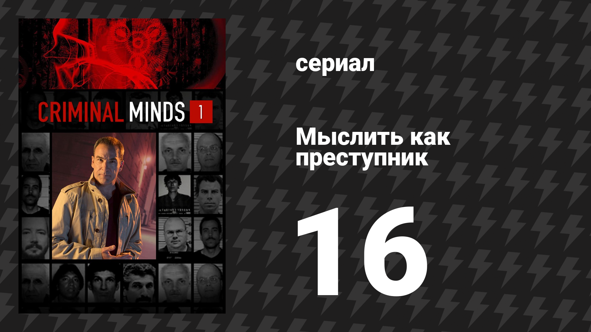 Мыслить как преступник 1 сезон 16 серия «Племя» (сериал, 2005-2020)