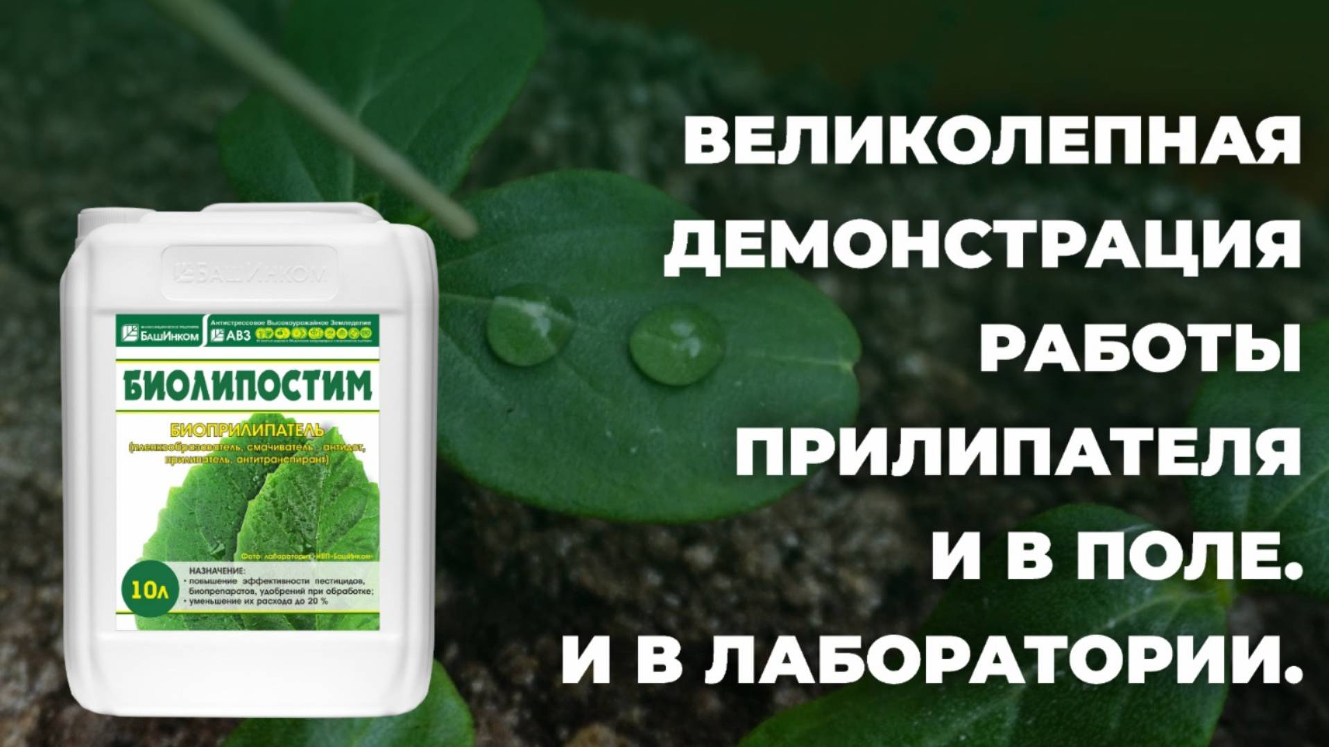 Удобрения, средства защиты растений становятся эффективнее до 20%! БашИнком