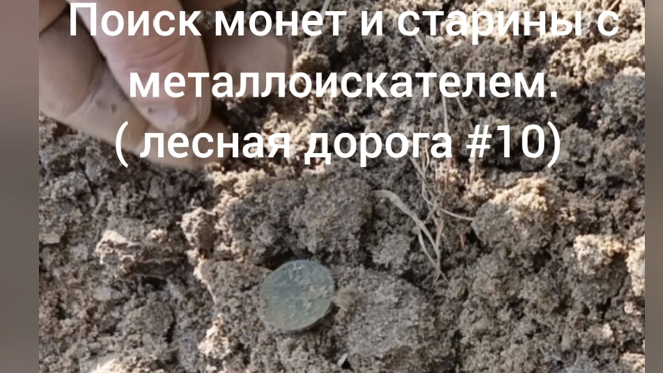 поиск монет с металлоискателем на лесных дорогах 10
