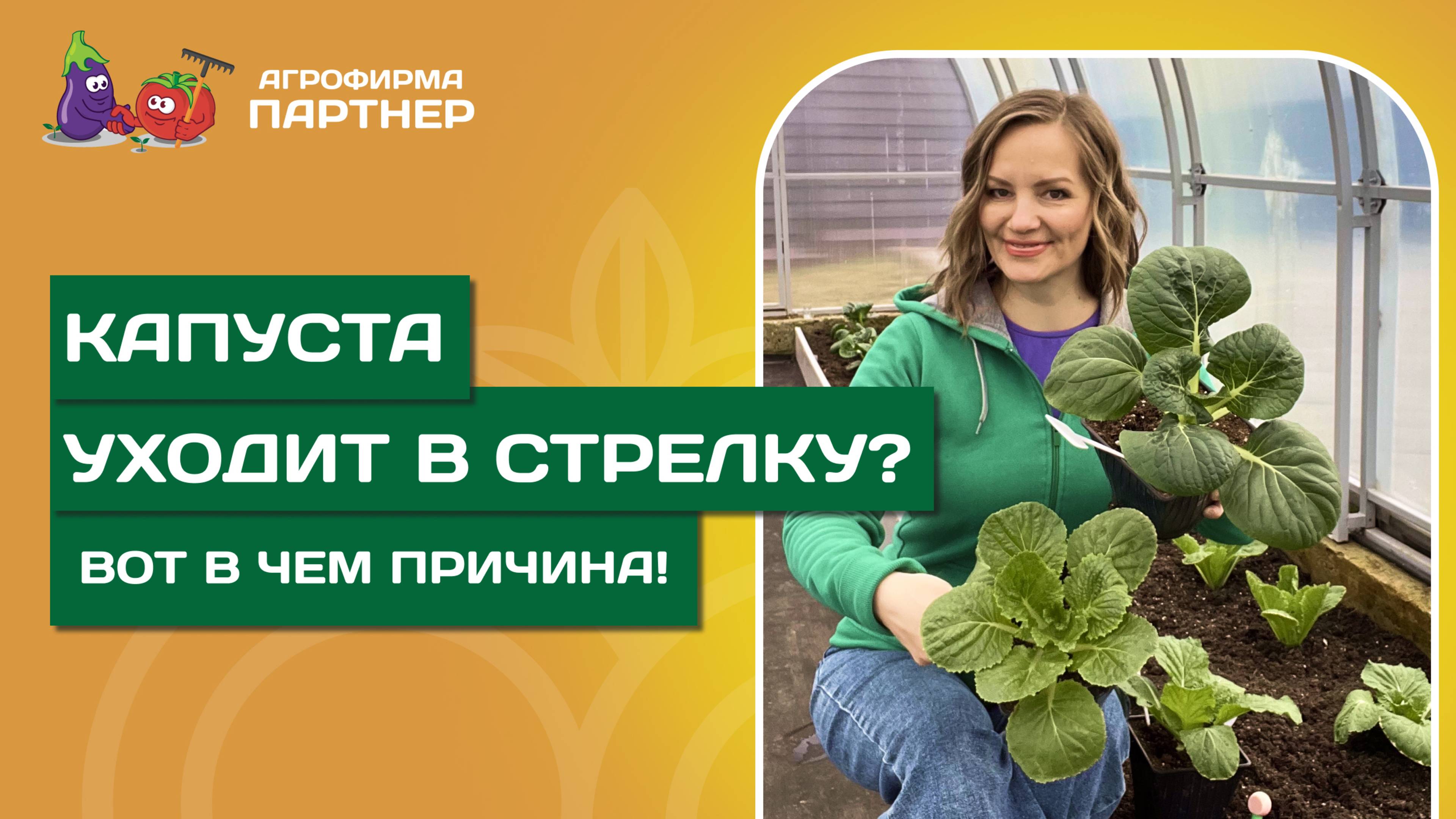 ПОЧЕМУ КАПУСТА НЕ РАСТЕТ? // Разбираем главные ошибки!
