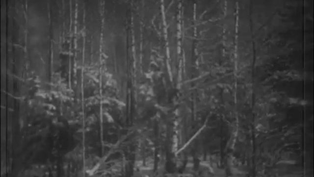 Советская хроника о действиях партизан.