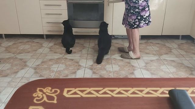 Полная катастрофа если мамы нет дома больше часа